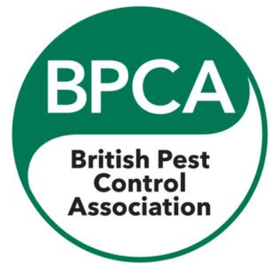 Pest Control Woking Surrey | PestRambo